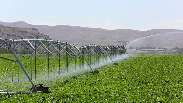 Lebanon Irrigation System